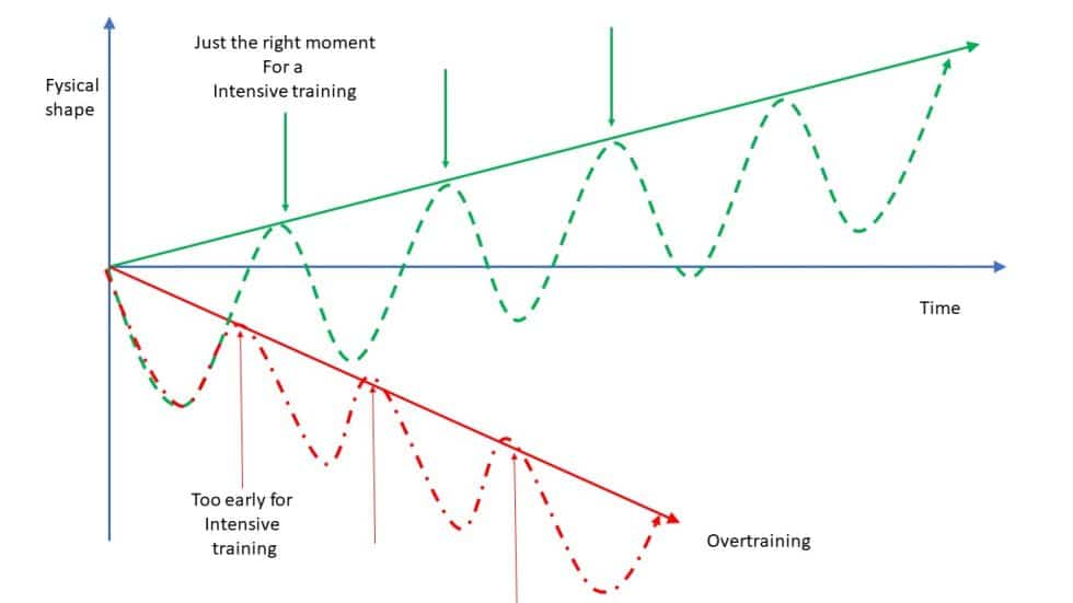 Supercompensation - how to balance a training workload with Equestic