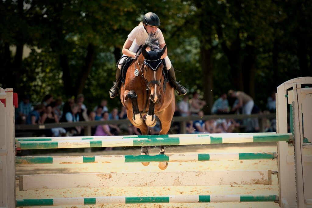 How High Can A Shire Horse Jump