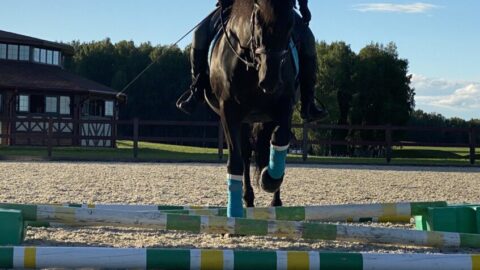 How to build topline on a horse: 5 exercises