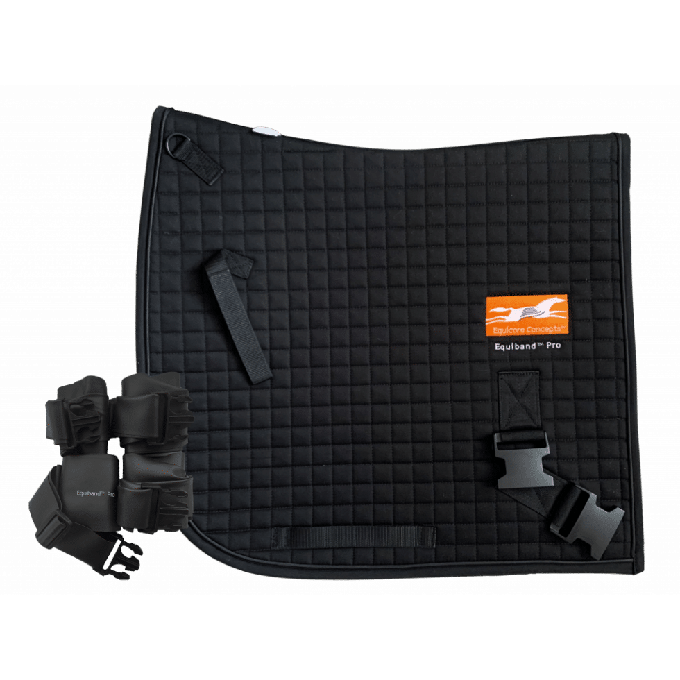 Complete Equiband® Pro System - Equestic